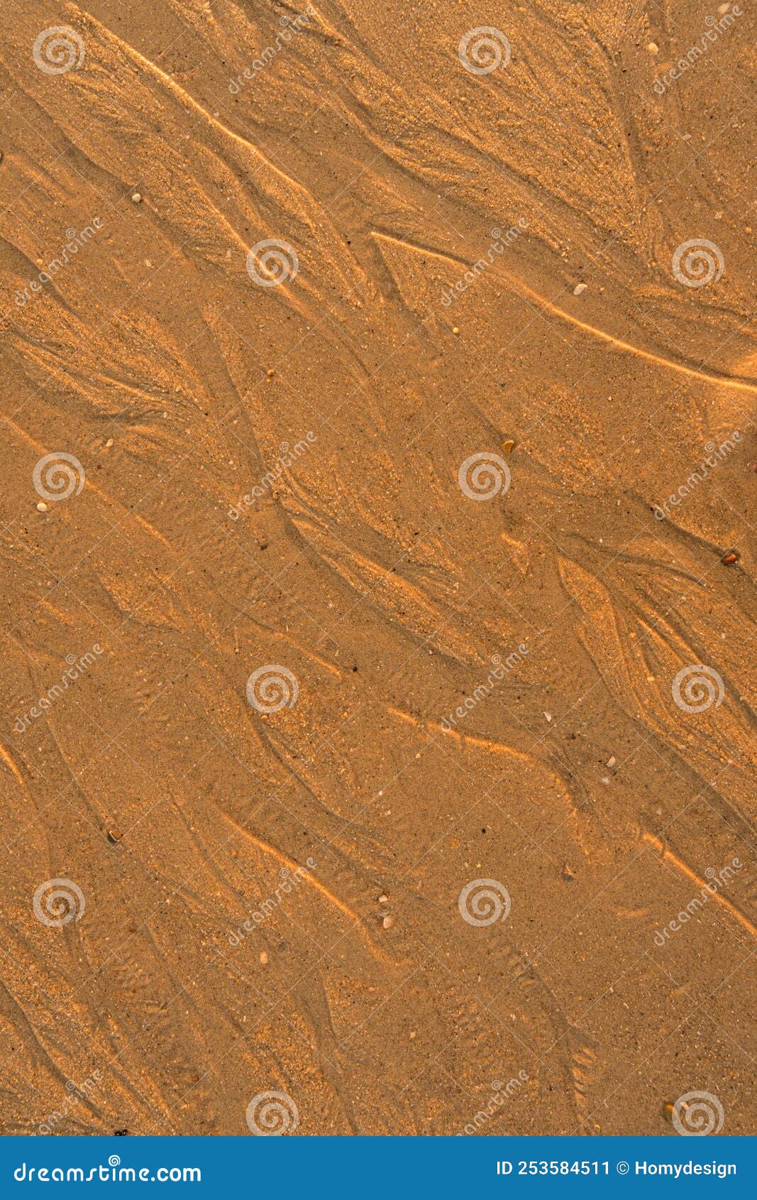 Natural sandy surface stock image. Image of grain, detail - 253584511