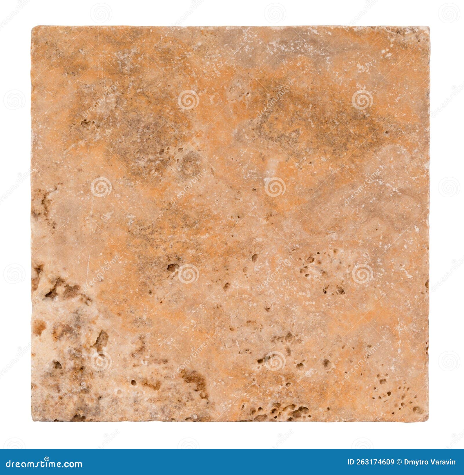 Natural Scabos Travertine Tile Isolated on White. Stock Image - Image ...