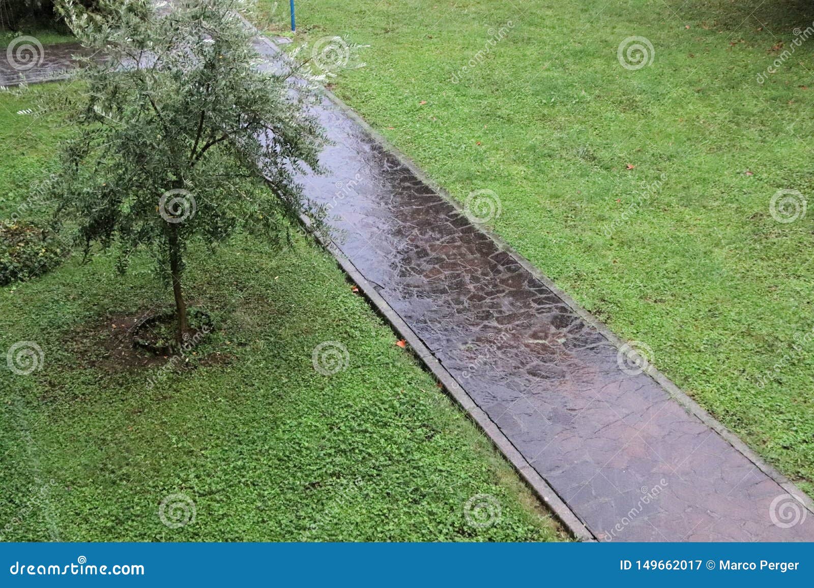 Rain in the park stock image. Image of multicolored - 149662017