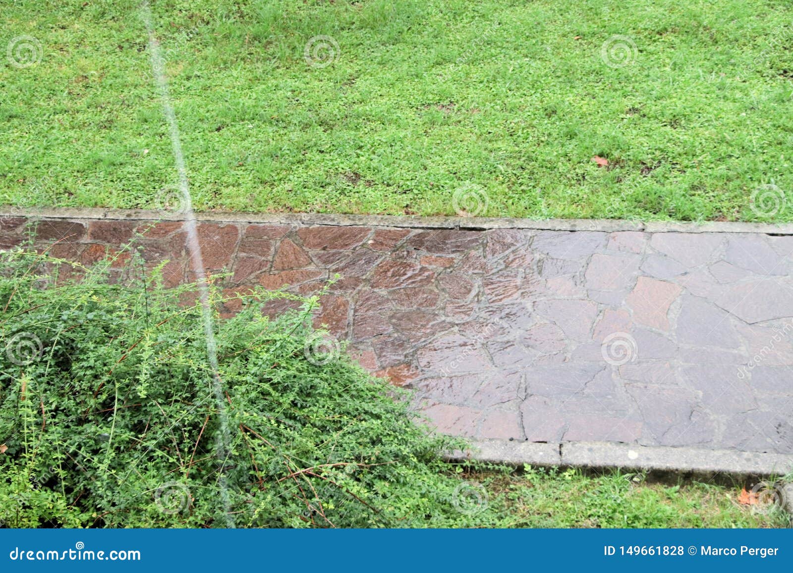 Rain in the park stock photo. Image of landscape, life - 149661828