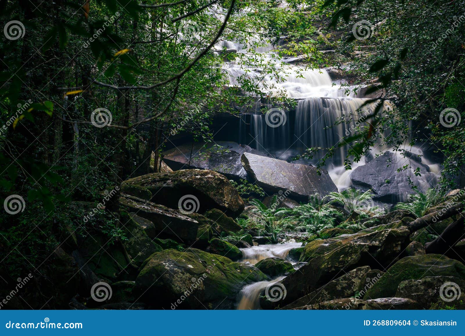 Natural Scene of Waterfall Inside Tropical Rainforest after Rainfall ...