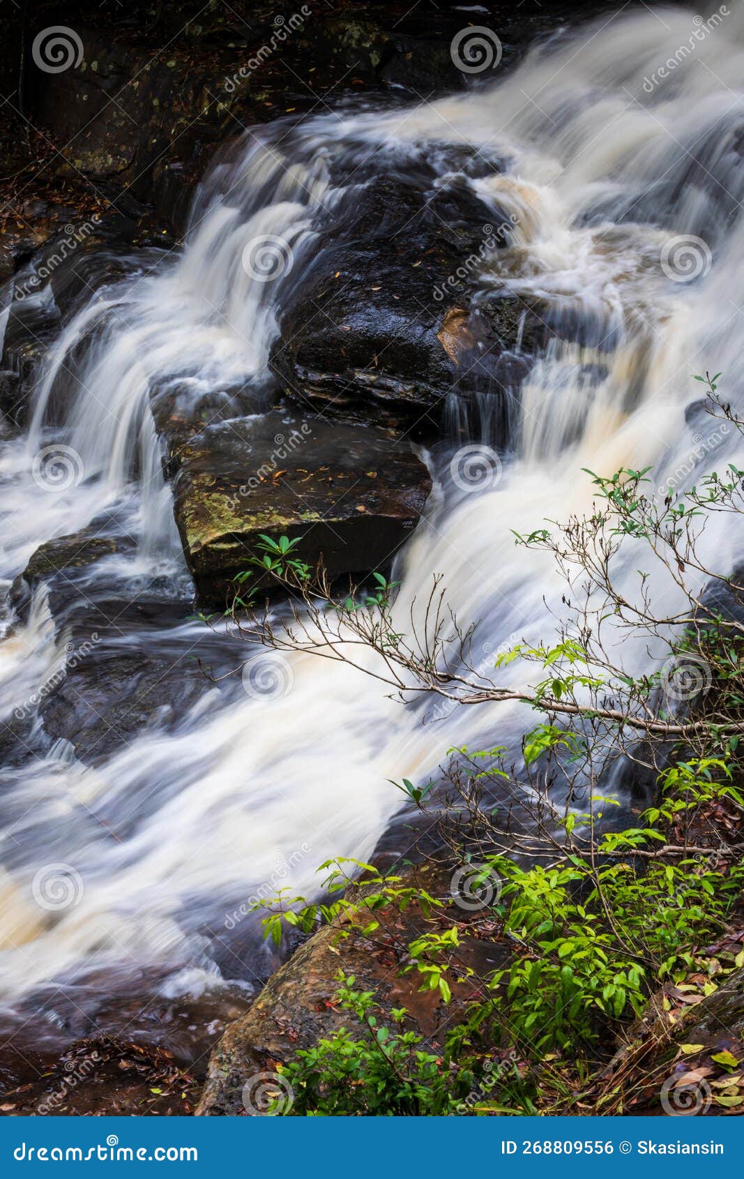 Natural Scene of Waterfall Inside Tropical Rainforest after Rainfall ...