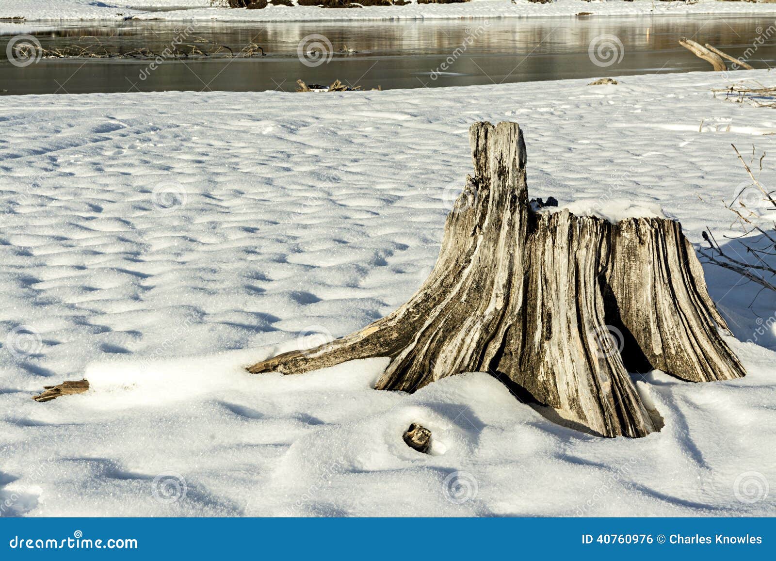 Natural Scene with White Snow and a Tree Stump Stock Photo - Image of ...