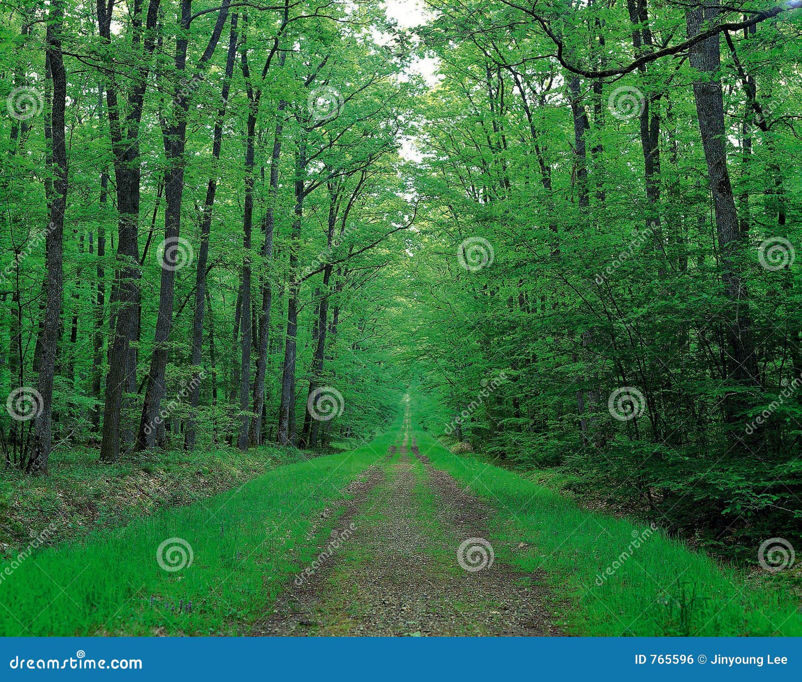 Natural Scenery stock photo. Image of outdoors, scenery - 765596