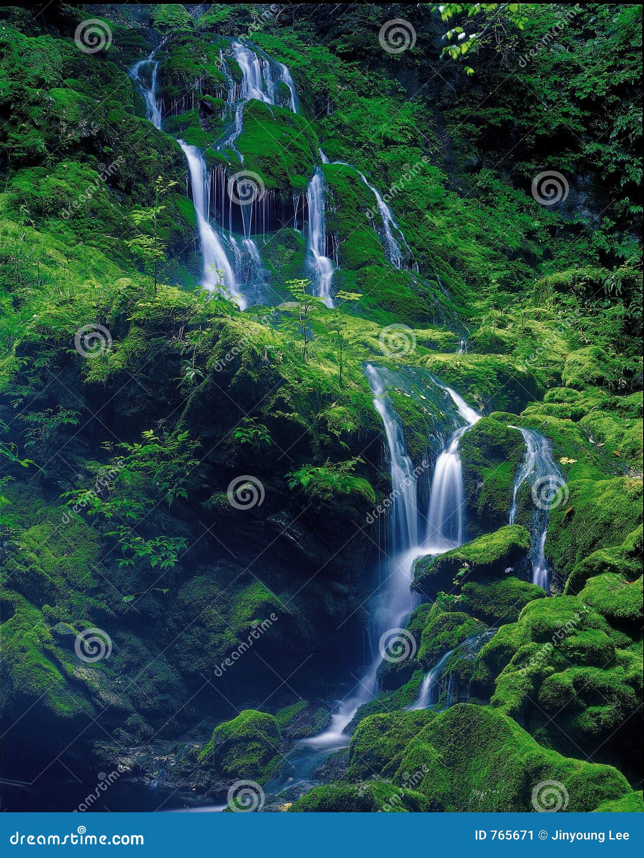 Natural Scenery stock image. Image of sunshine, scenery - 765671