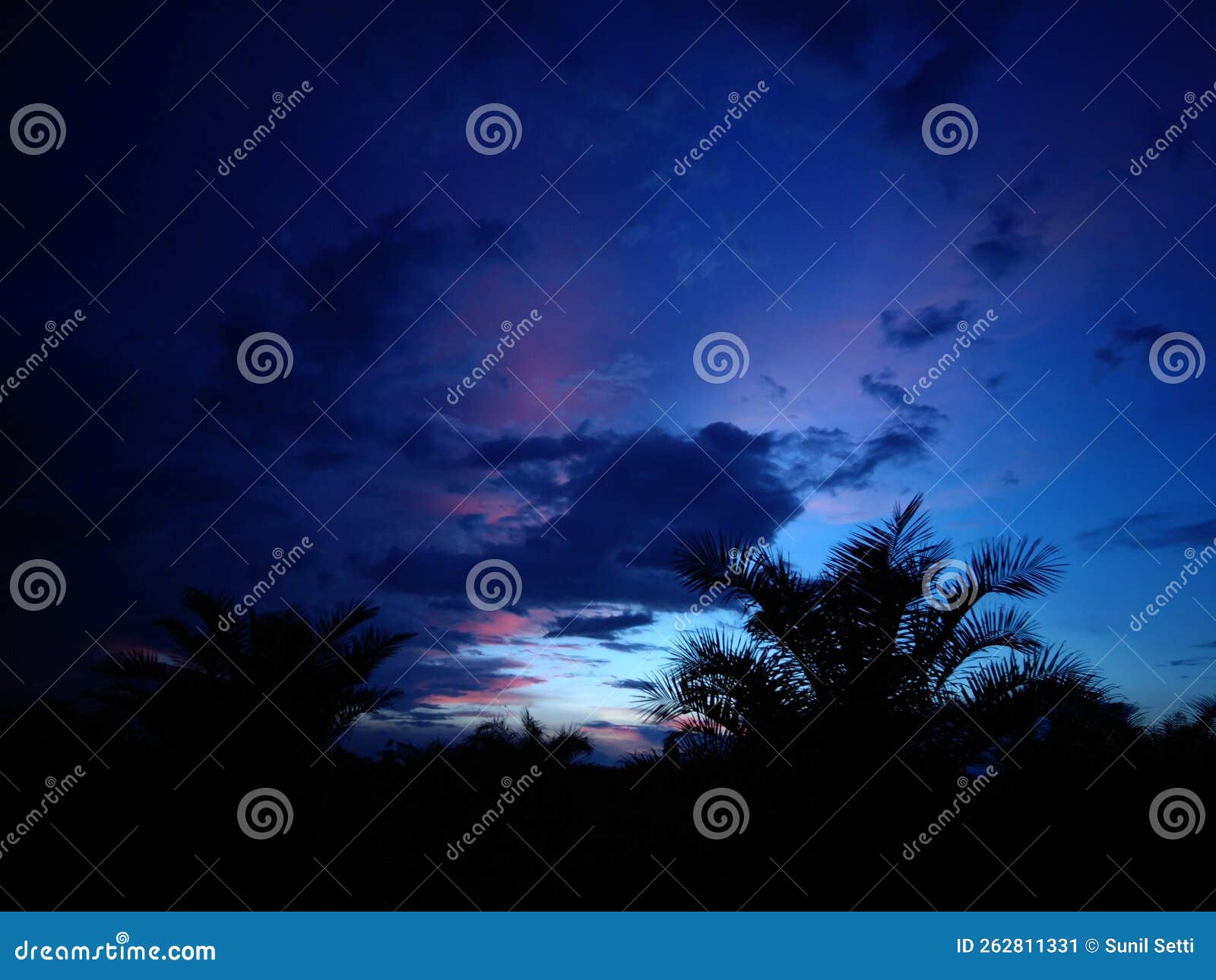 The Natural Scenery in the Afternoon is Perfect, Dark, Beautiful and ...