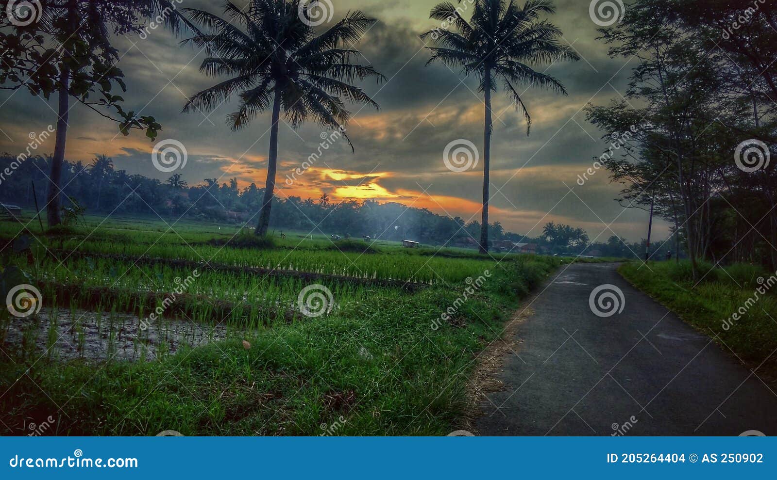 The Natural Scenery of the Almighty Creation Stock Photo - Image of ...