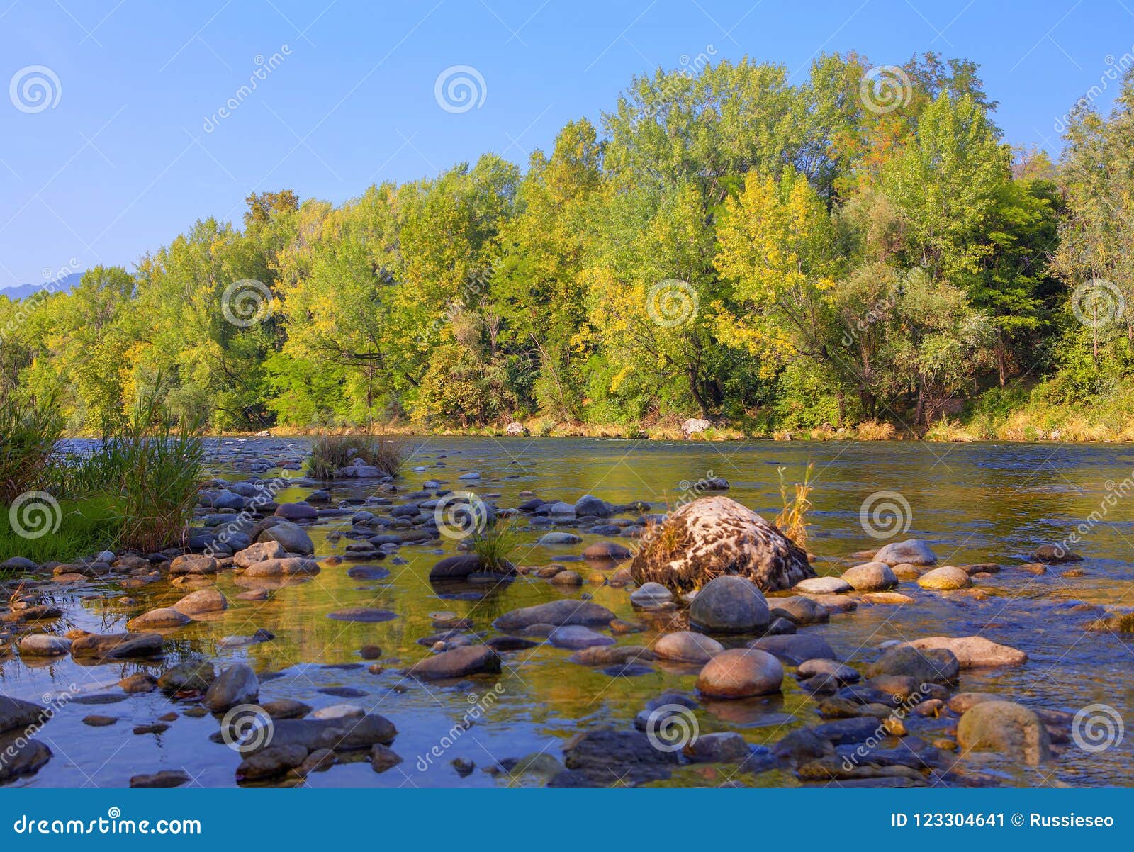 River Flows through the Stones Stock Image - Image of national, tree ...