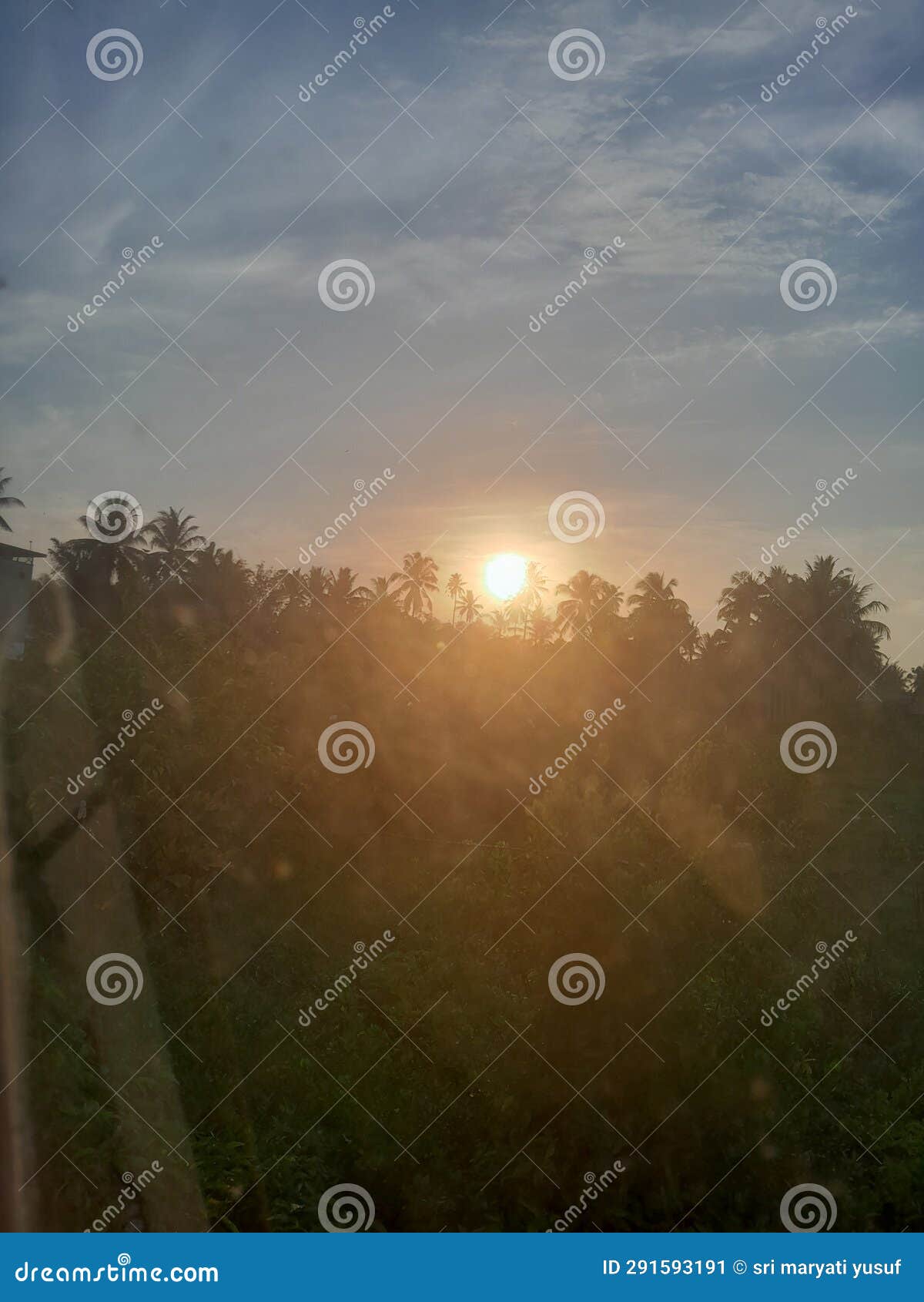 The Sun Rises In The Morning Shining Bright Golden Yellow Beautiful ...