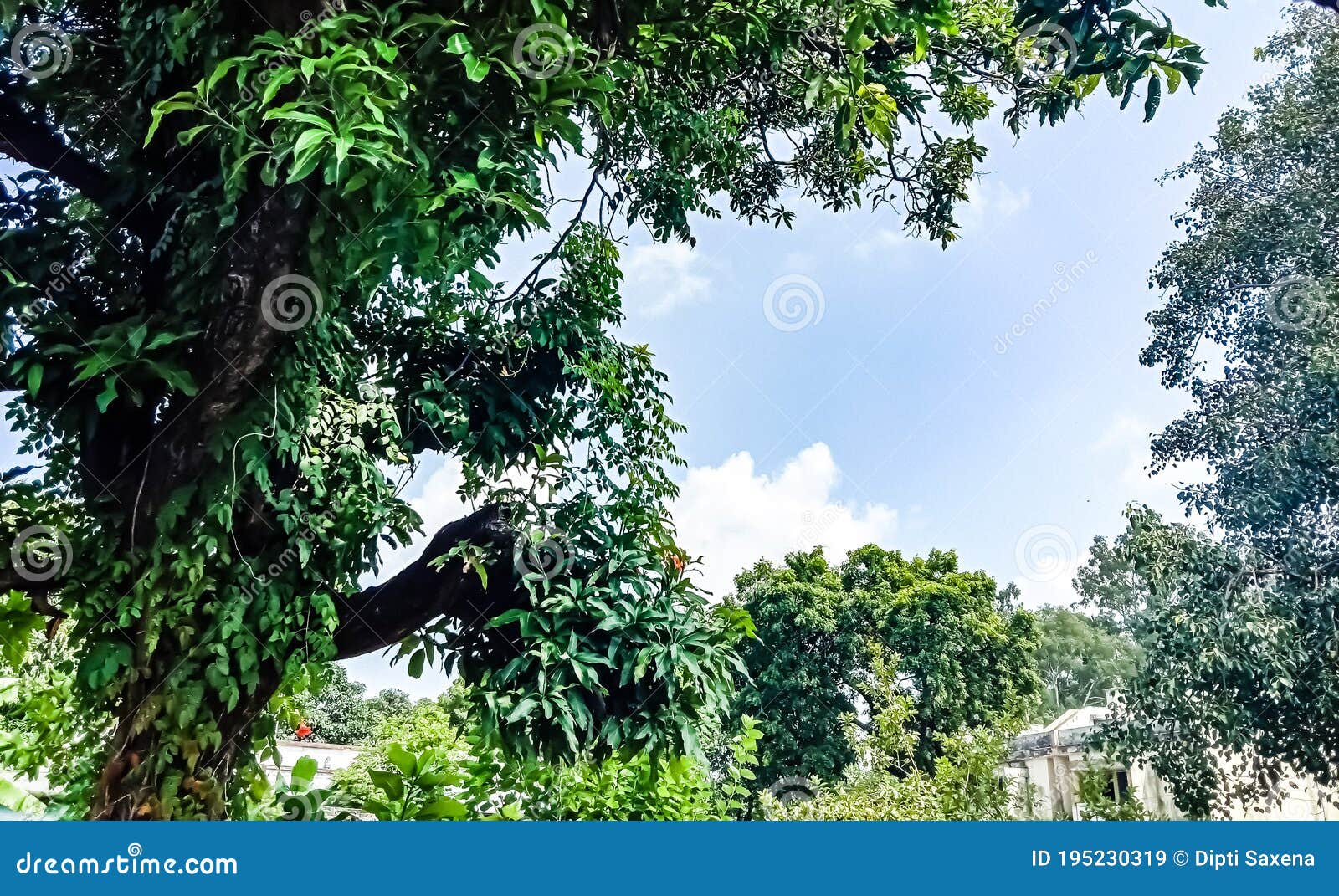 Natural Scenery during Full Noon with Clouds Stock Image - Image of ...