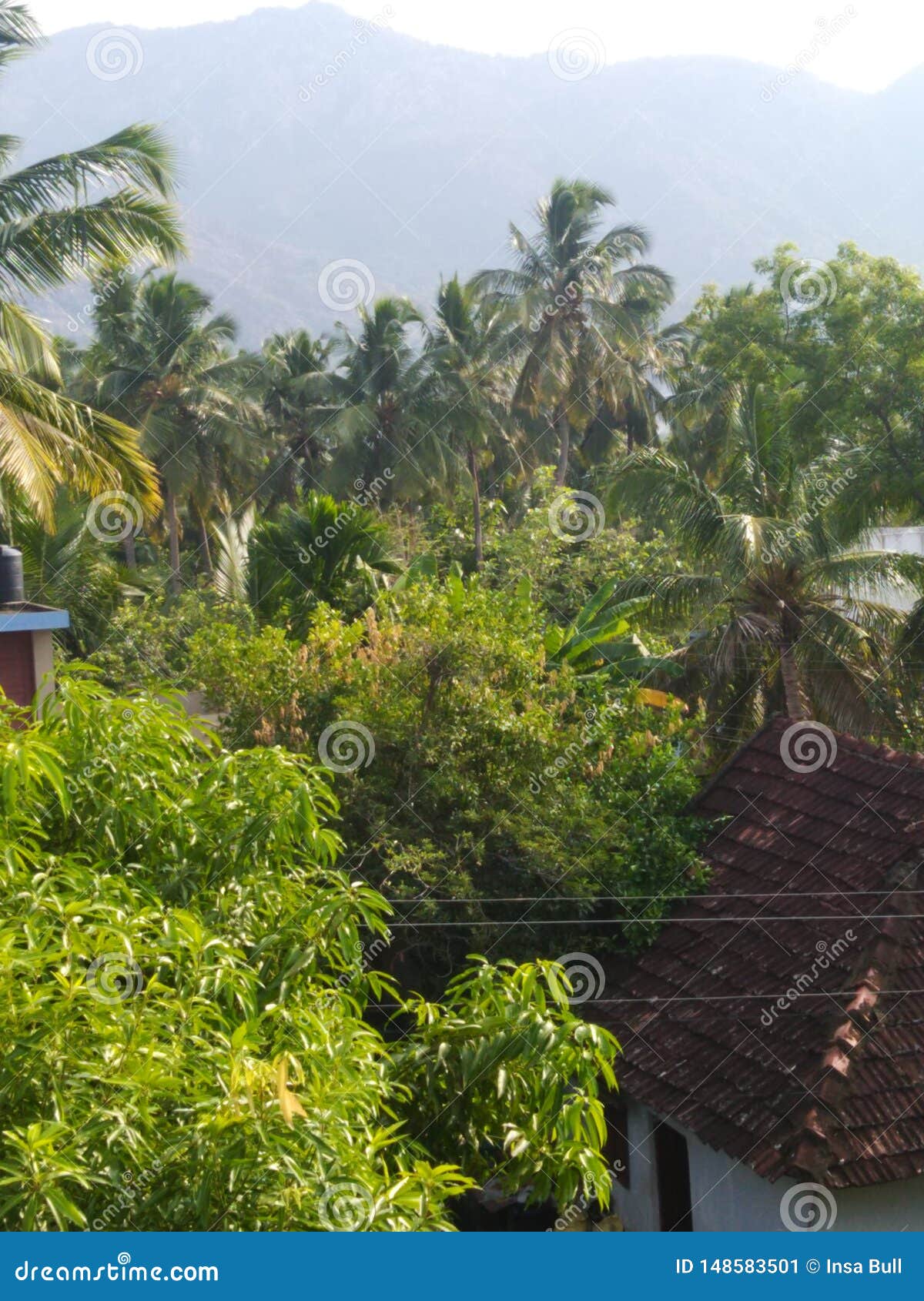 Natural scenery stock image. Image of natural, scenery - 148583501