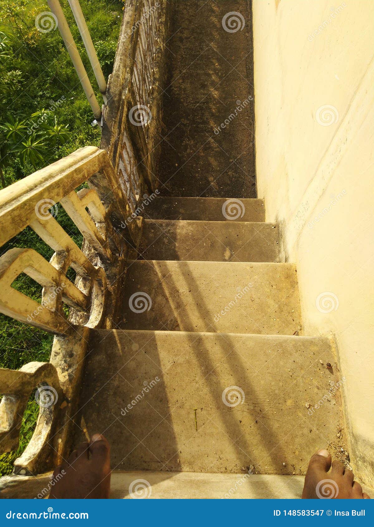 Path way stock image. Image of natural, green, scenery - 148583547