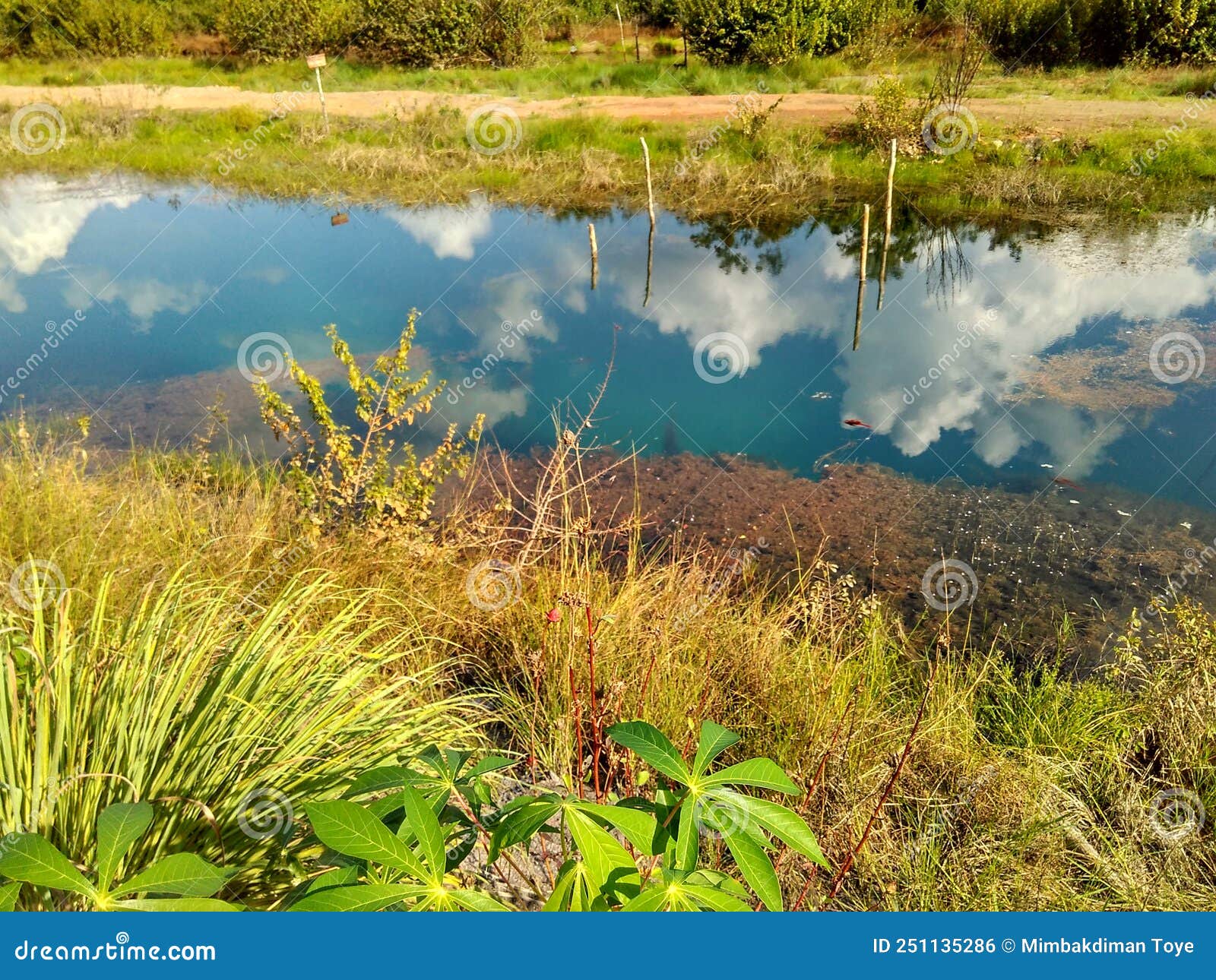 Natural Scenery and Land Blue Green Backround Stock Photo - Image of ...
