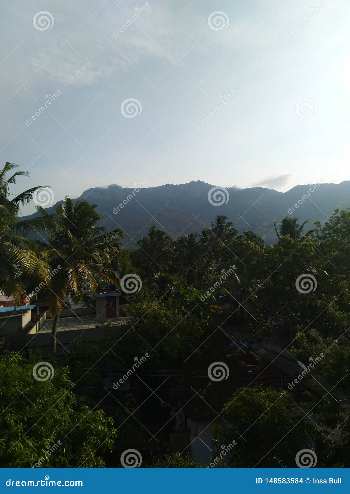 Natural scenery stock photo. Image of natural, prosperity - 148583584