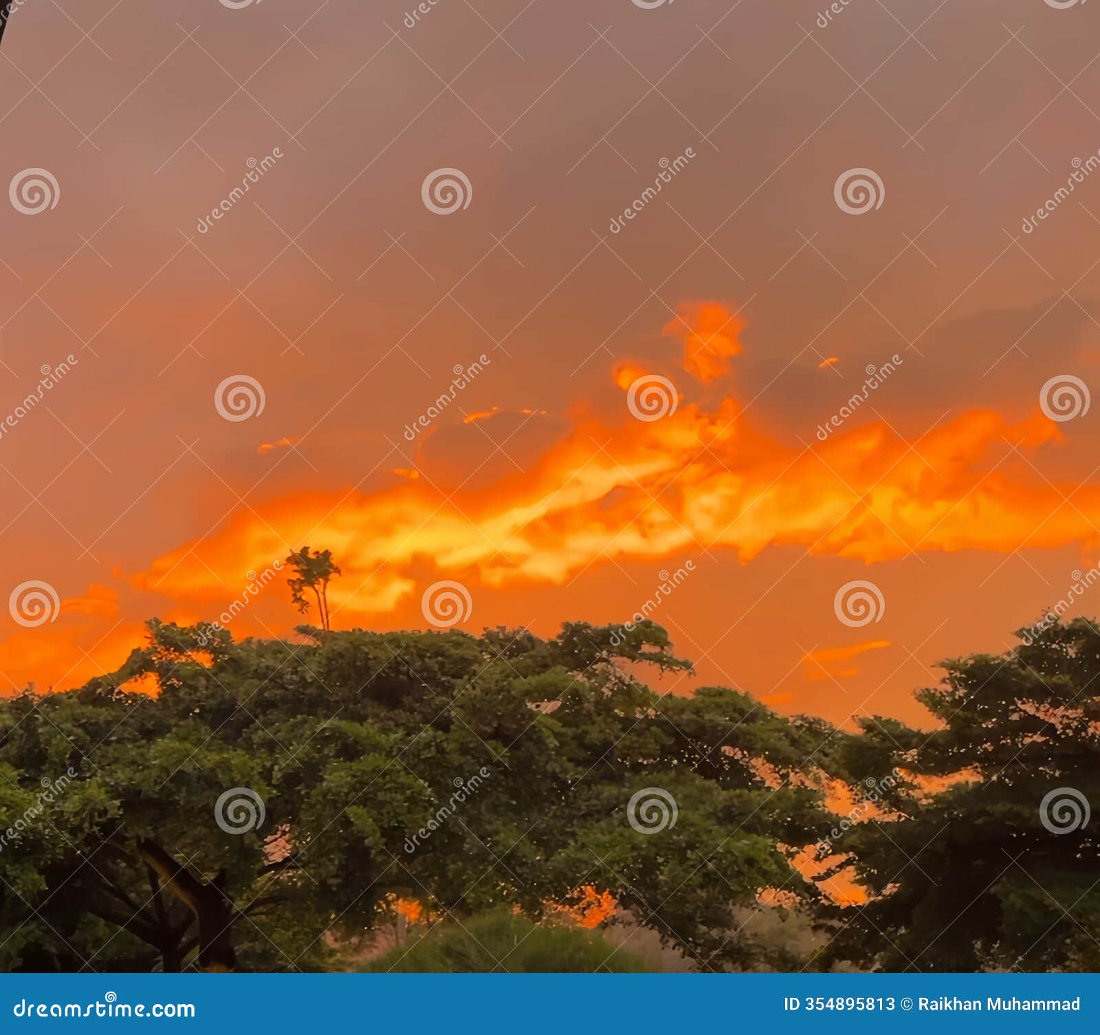 Natural Scenery of Trees with Sky Background with Sunset Stock Image ...