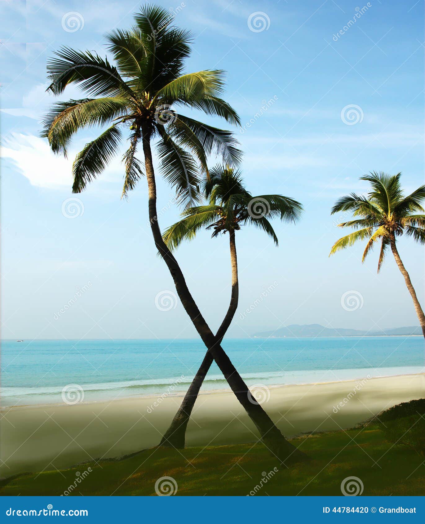 The natural scenery stock photo. Image of palm, blue - 44784420