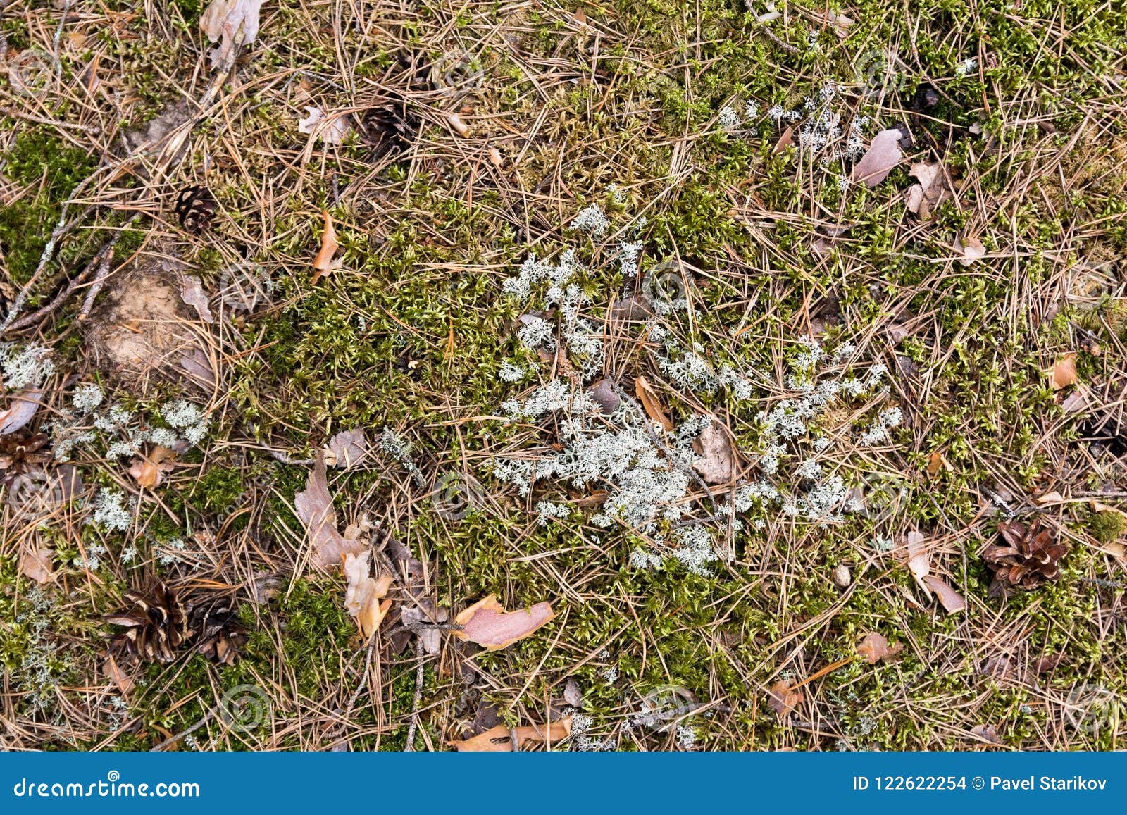 Natural scenes background stock photo. Image of beautiful - 122622254