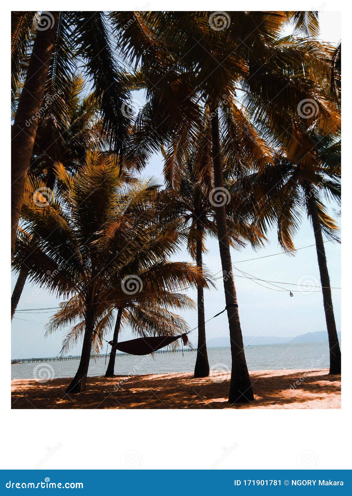 Natural Sea life stock image. Image of natural, life - 171901781