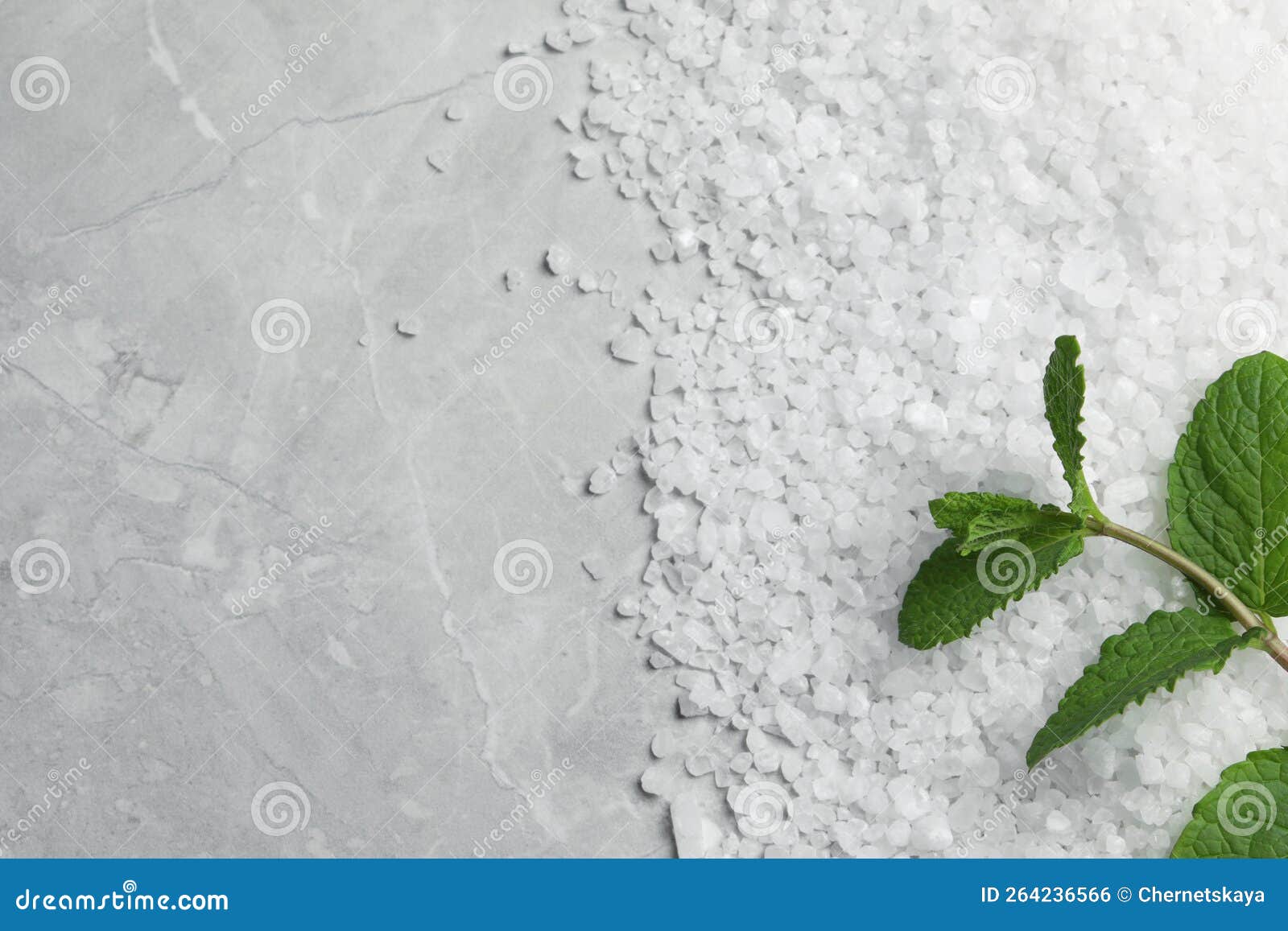 Natural Sea Salt and Mint on Light Grey Marble Table, Top View. Space ...