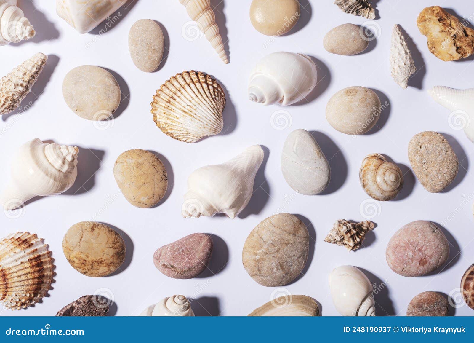 Natural Seashells and Sea Stones Pattern Background, Texture Stock ...