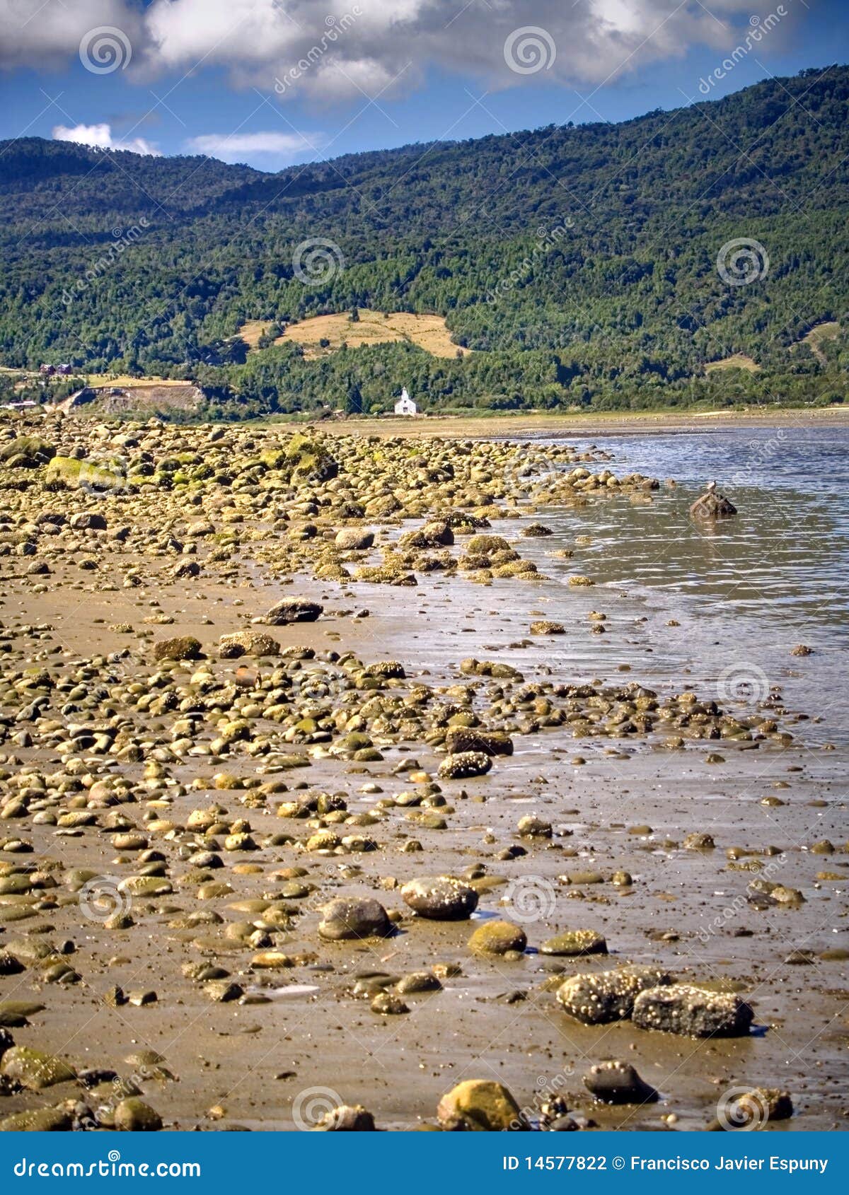 Natural seaside landscape stock photo. Image of natural - 14577822