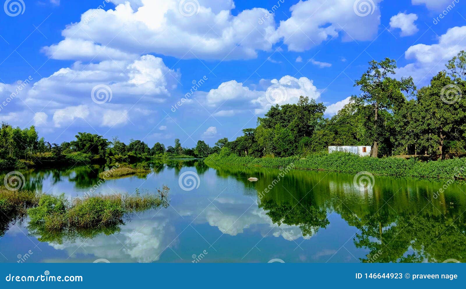 The really Natural Seen River Side of the Time Stock Image - Image of ...