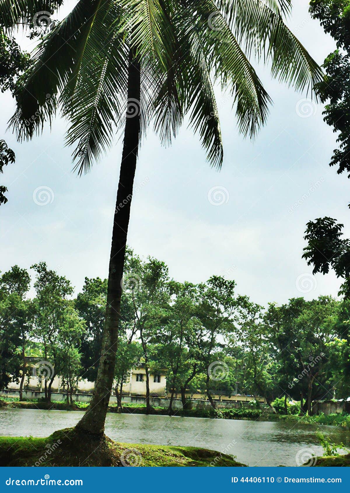 Natural Seen stock photo. Image of natural - 44406110