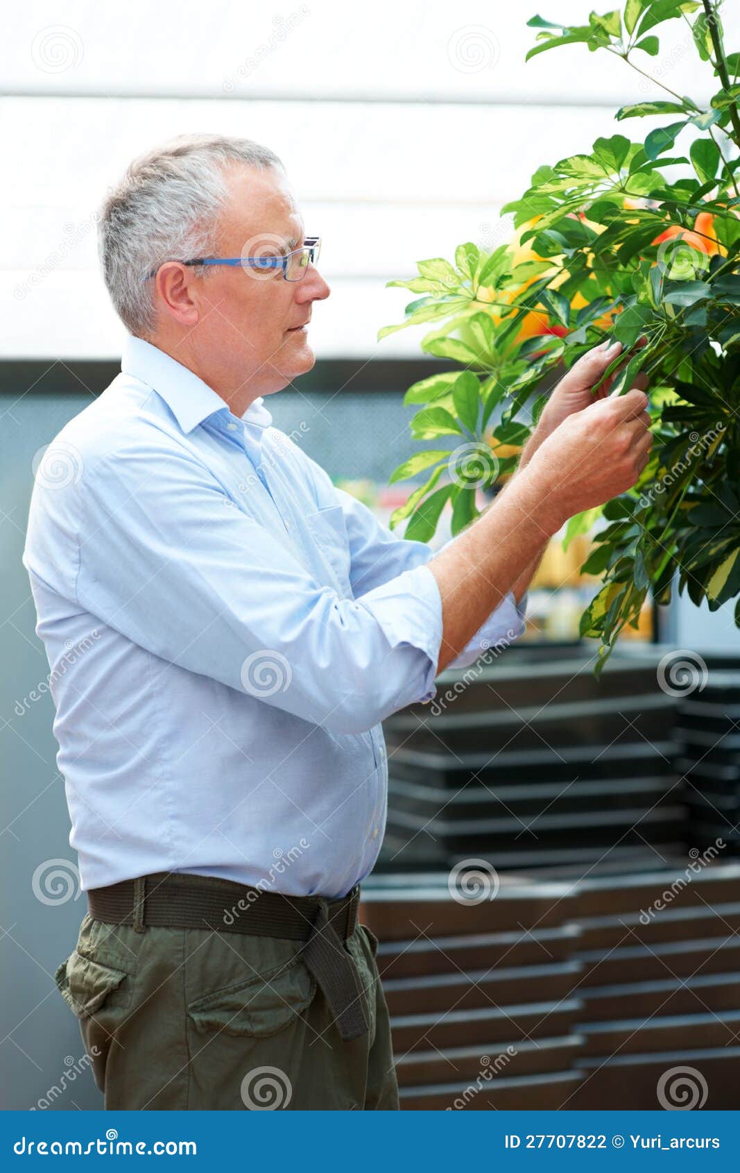 Natural selection stock photo. Image of nature, touch - 27707822