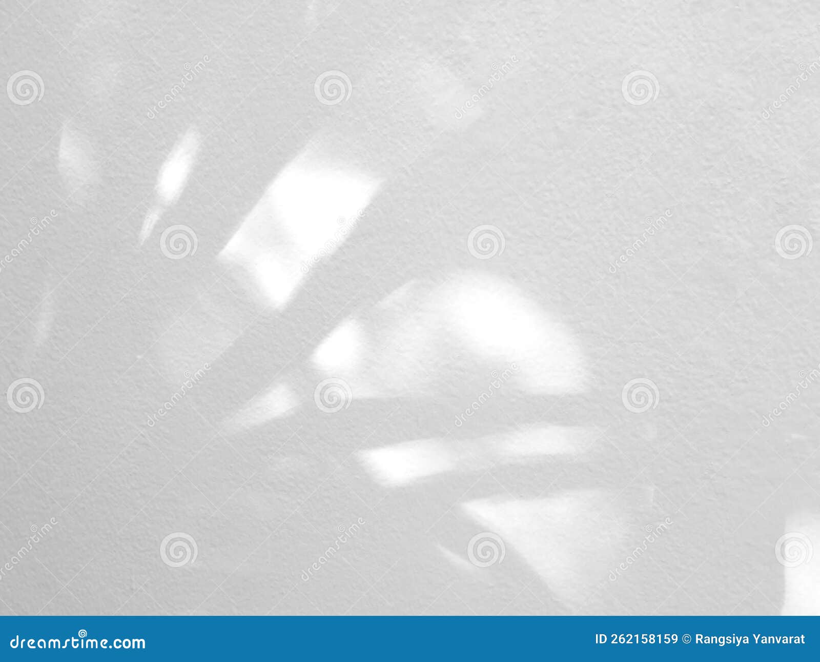 Natural Shadow of Leaves on a White Wall Stock Image - Image of shade ...