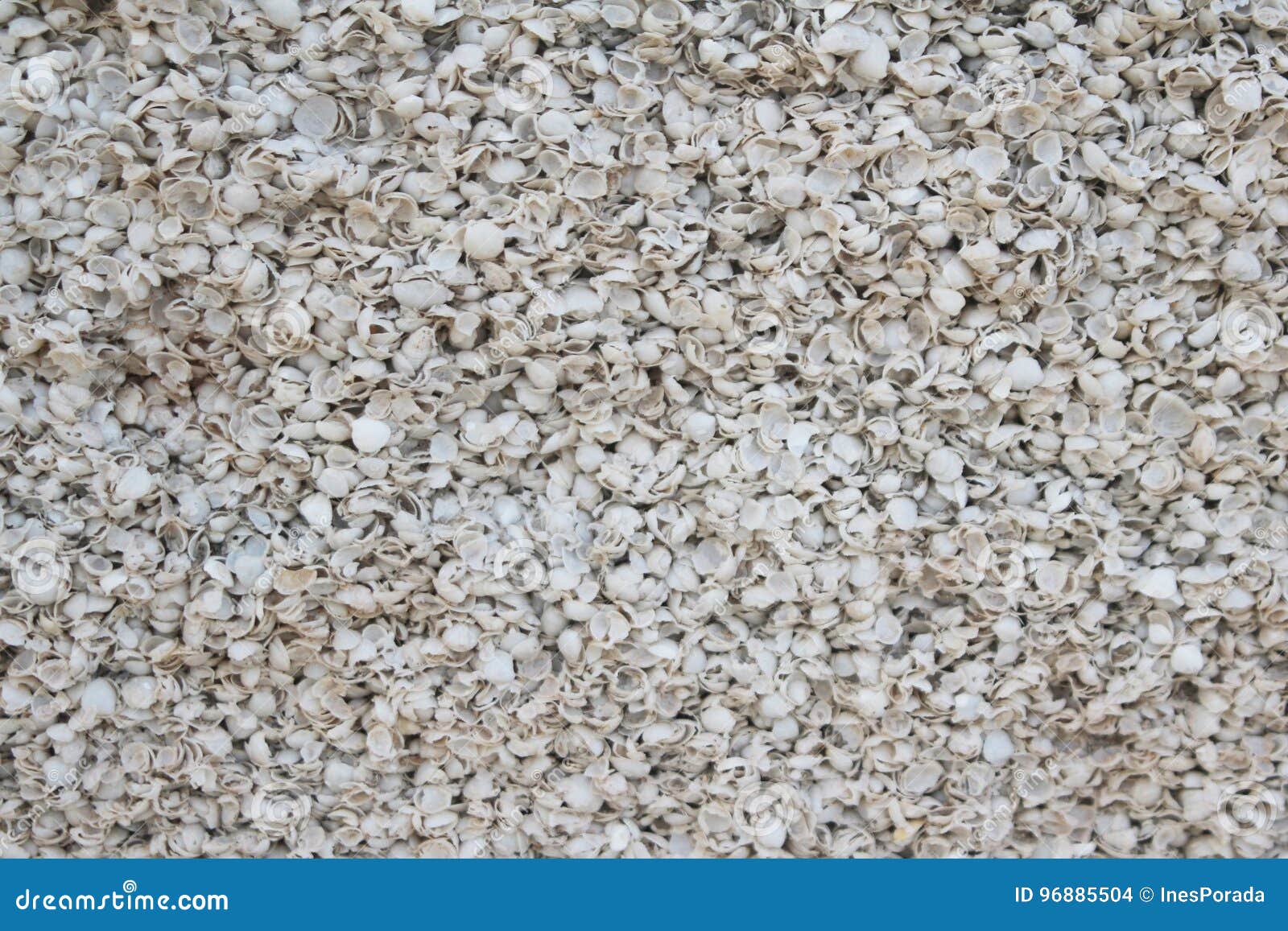 Natural Shell Beach Texture Background Stock Photo - Image of grain ...