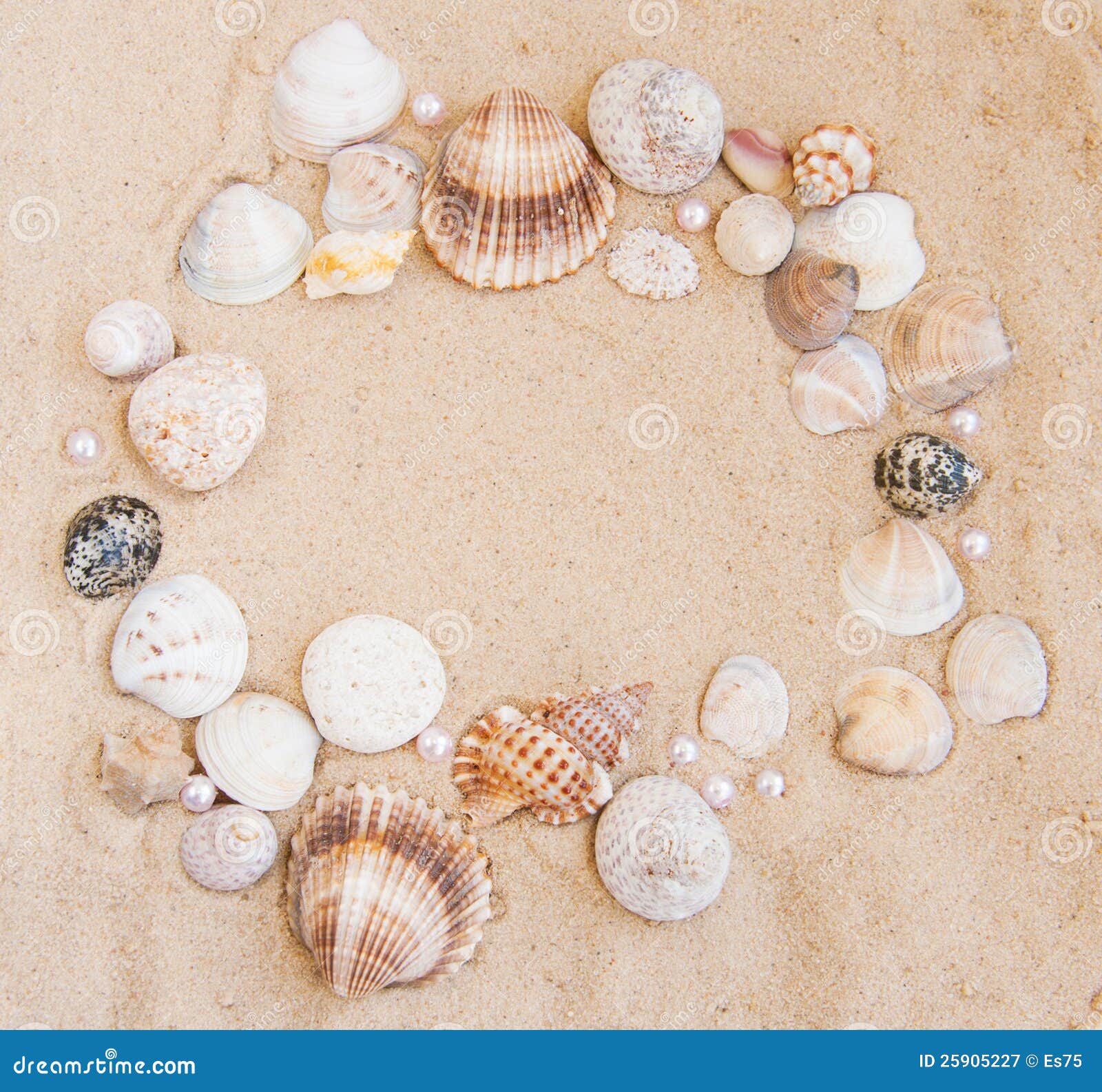 Natural Shell Border stock image. Image of texture, nature - 25905227