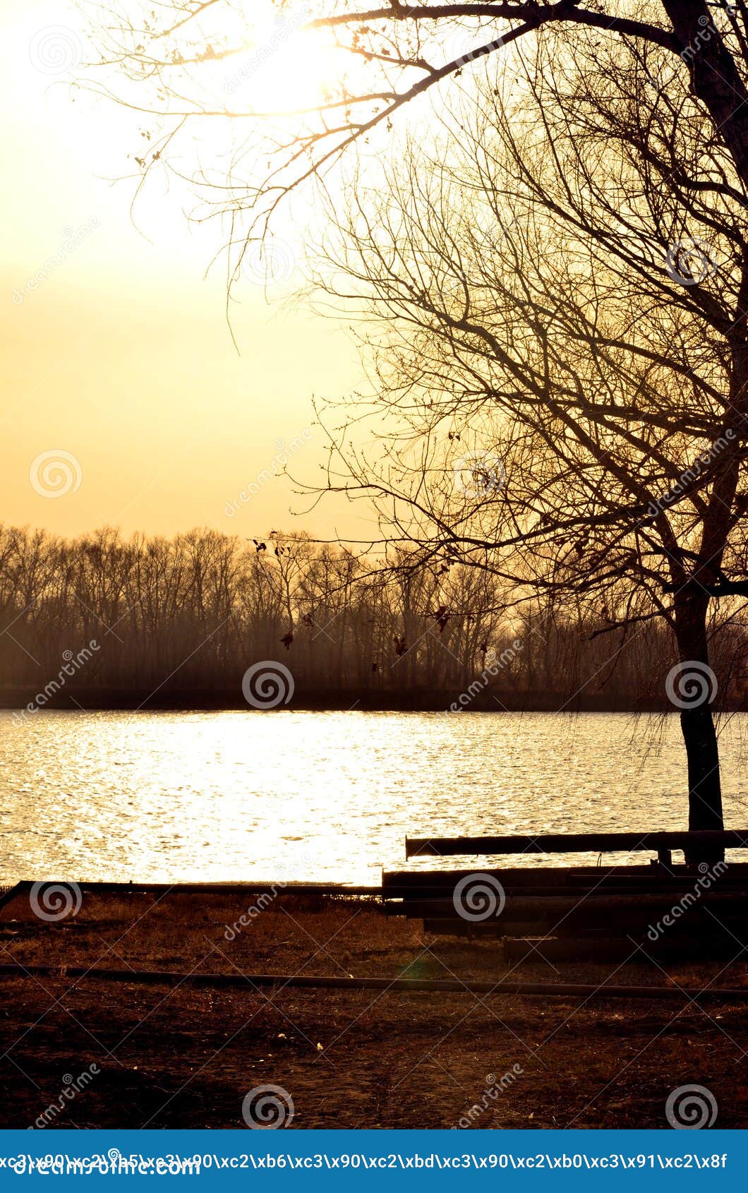 Natural silence stock image. Image of reflections, river - 63456229
