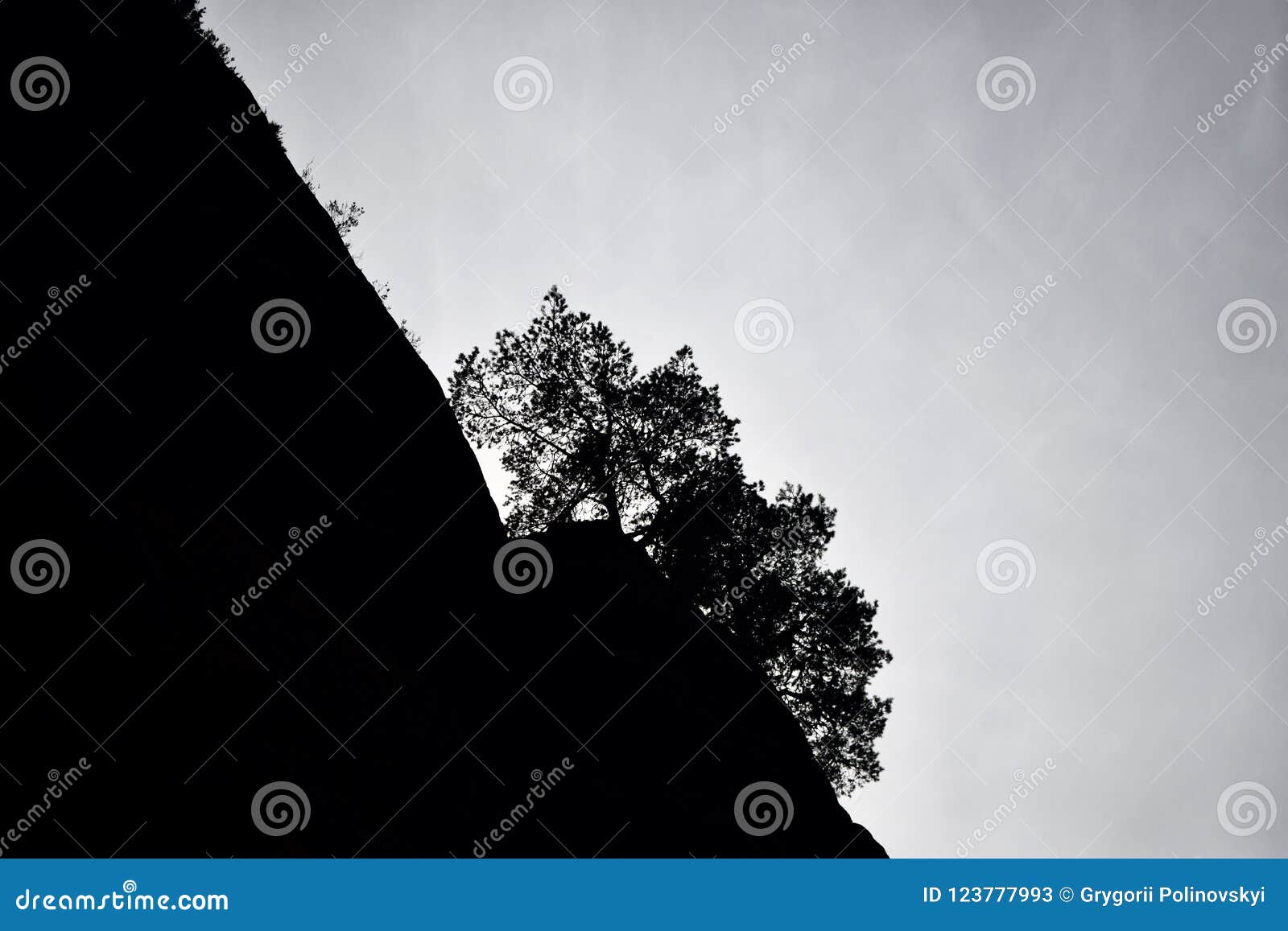 Natural silhouette stock image. Image of silhouette - 123777993