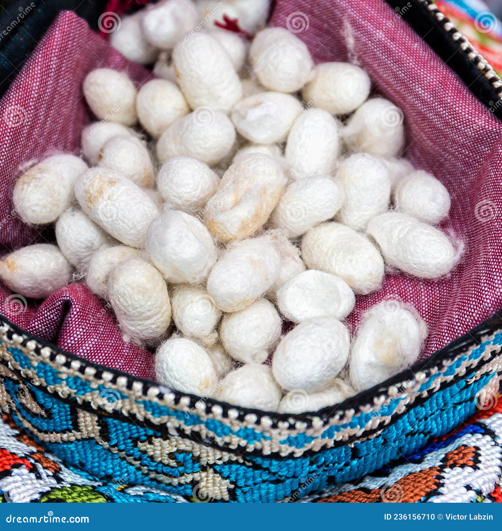 Natural Silkworm Cocoons Close-up on a Colored Background Stock Photo ...