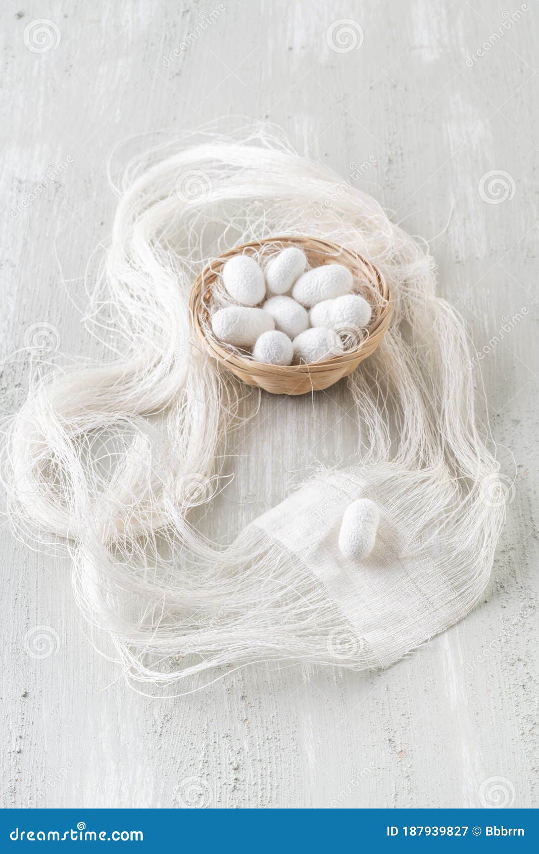 Natural Silkworm Cocoons are Source of Silk Thread, Textile Stock Image ...