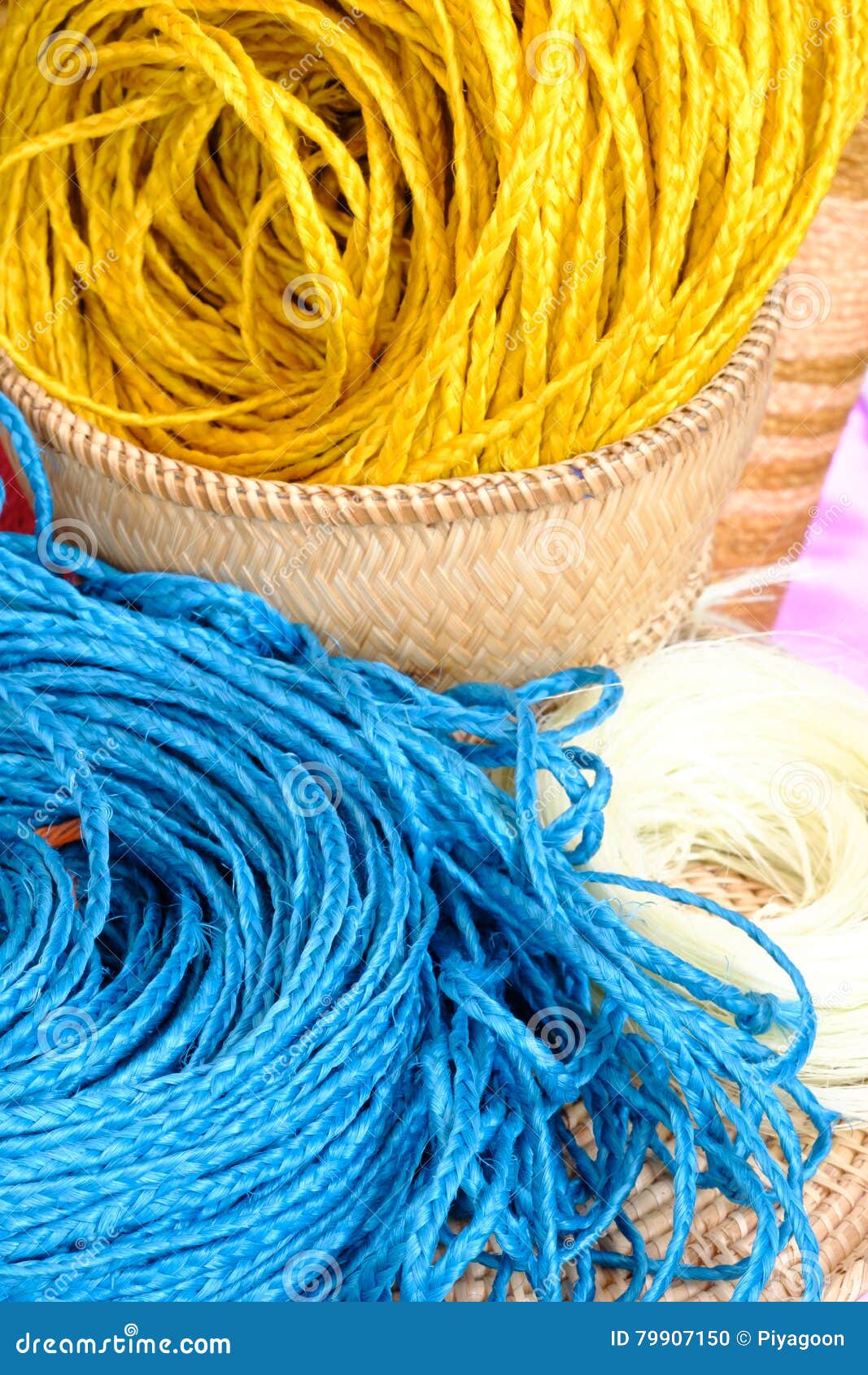 Natural sisal stock photo. Image of open, nature, grass - 79907150