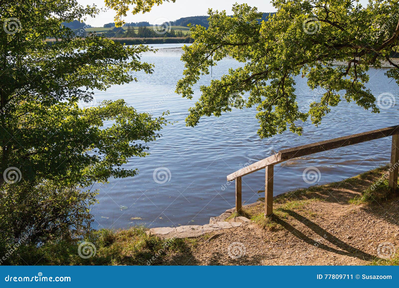 Natural Site Maisinger See, Upper Bavaria Stock Image - Image of ...