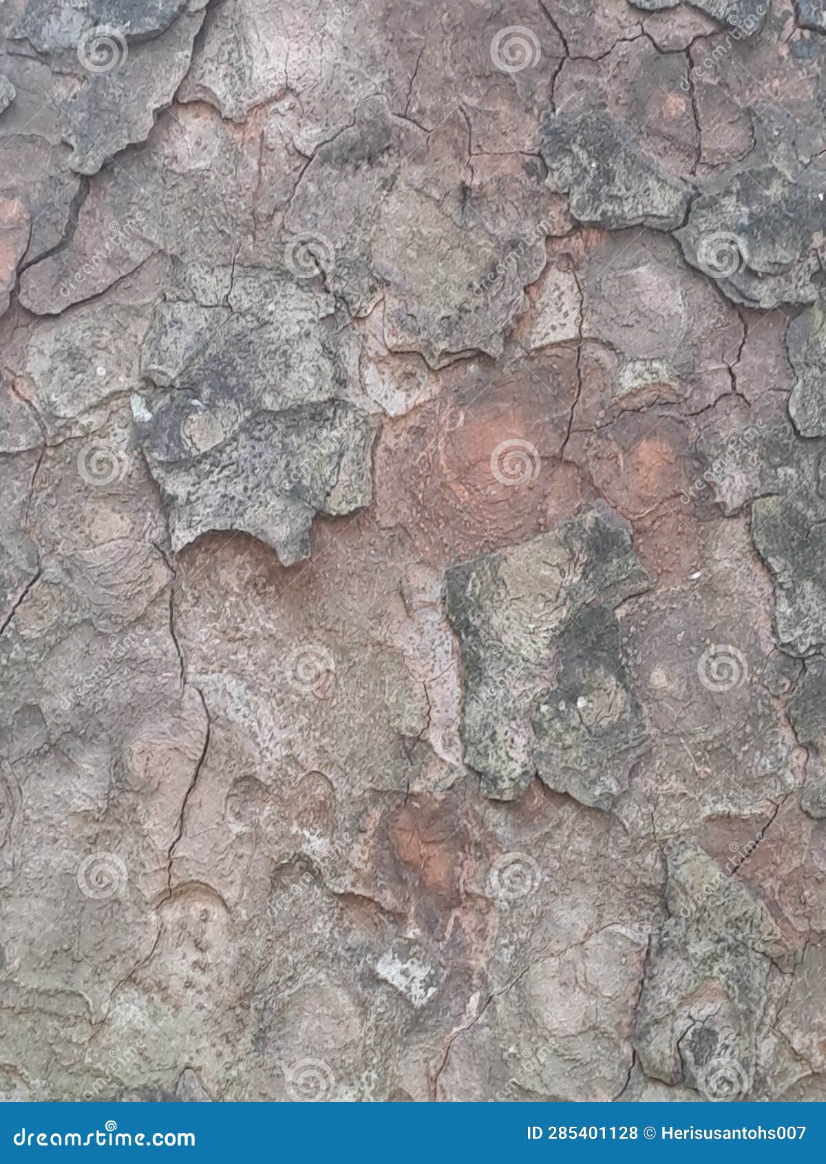 Natural skin of life tree stock photo. Image of skin - 285401128