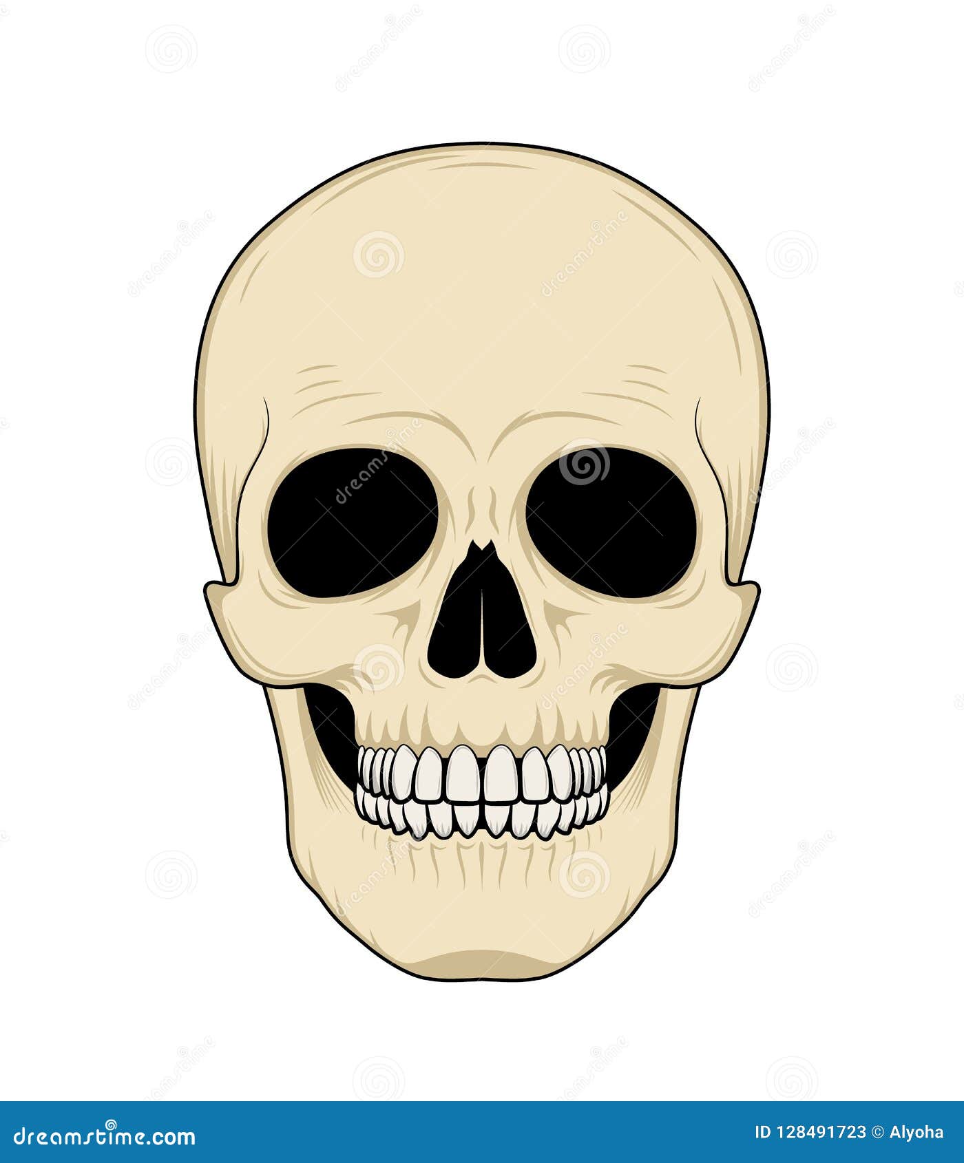 Natural Skull stock vector. Illustration of celebration - 128491723