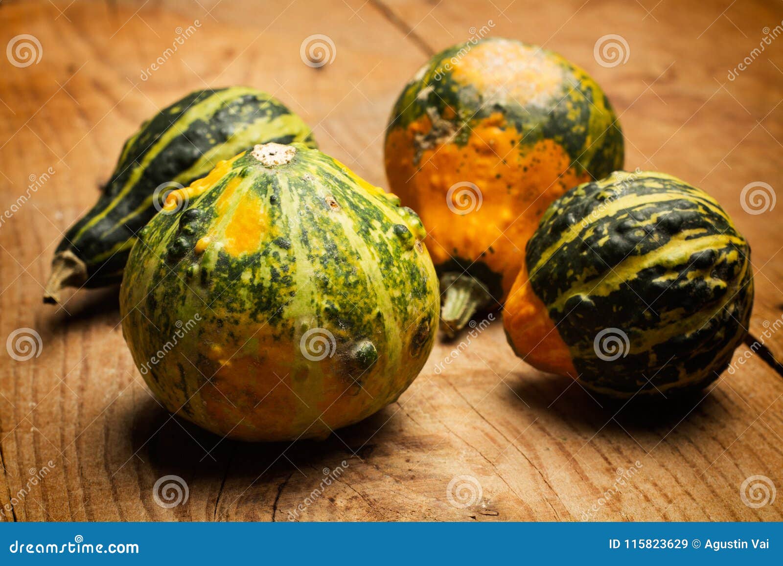 Natural small pumpkins stock image. Image of seasonal - 115823629