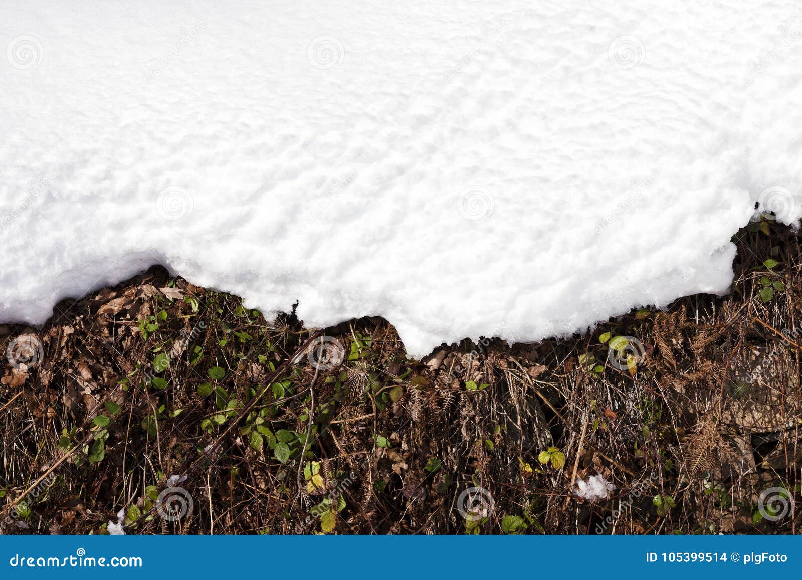 Natural Snow Background or Texture Stock Photo - Image of surface ...