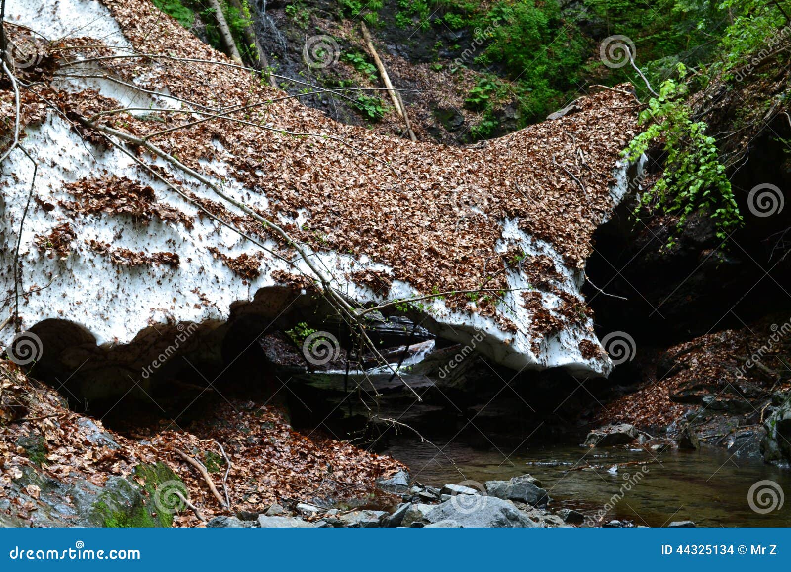 Natural snow Bridge stock photo. Image of food, height - 44325134