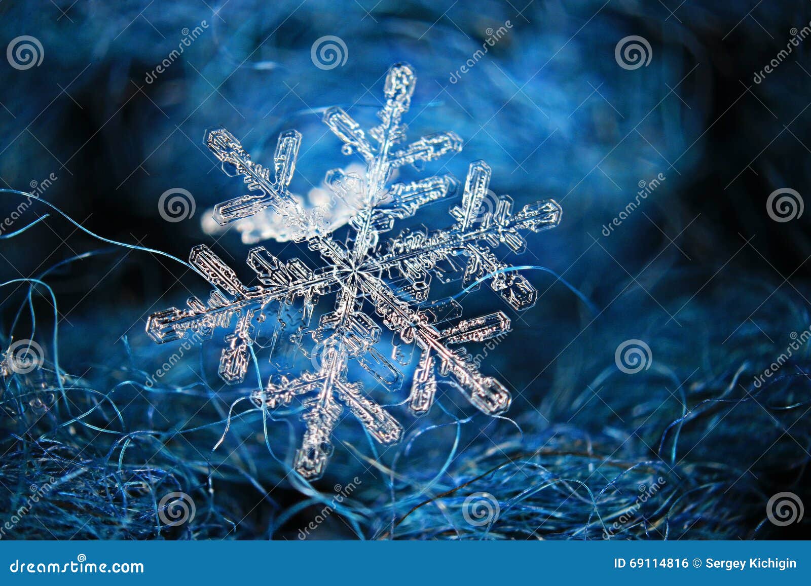 Natural snowflake stock photo. Image of frost, nature - 69114816