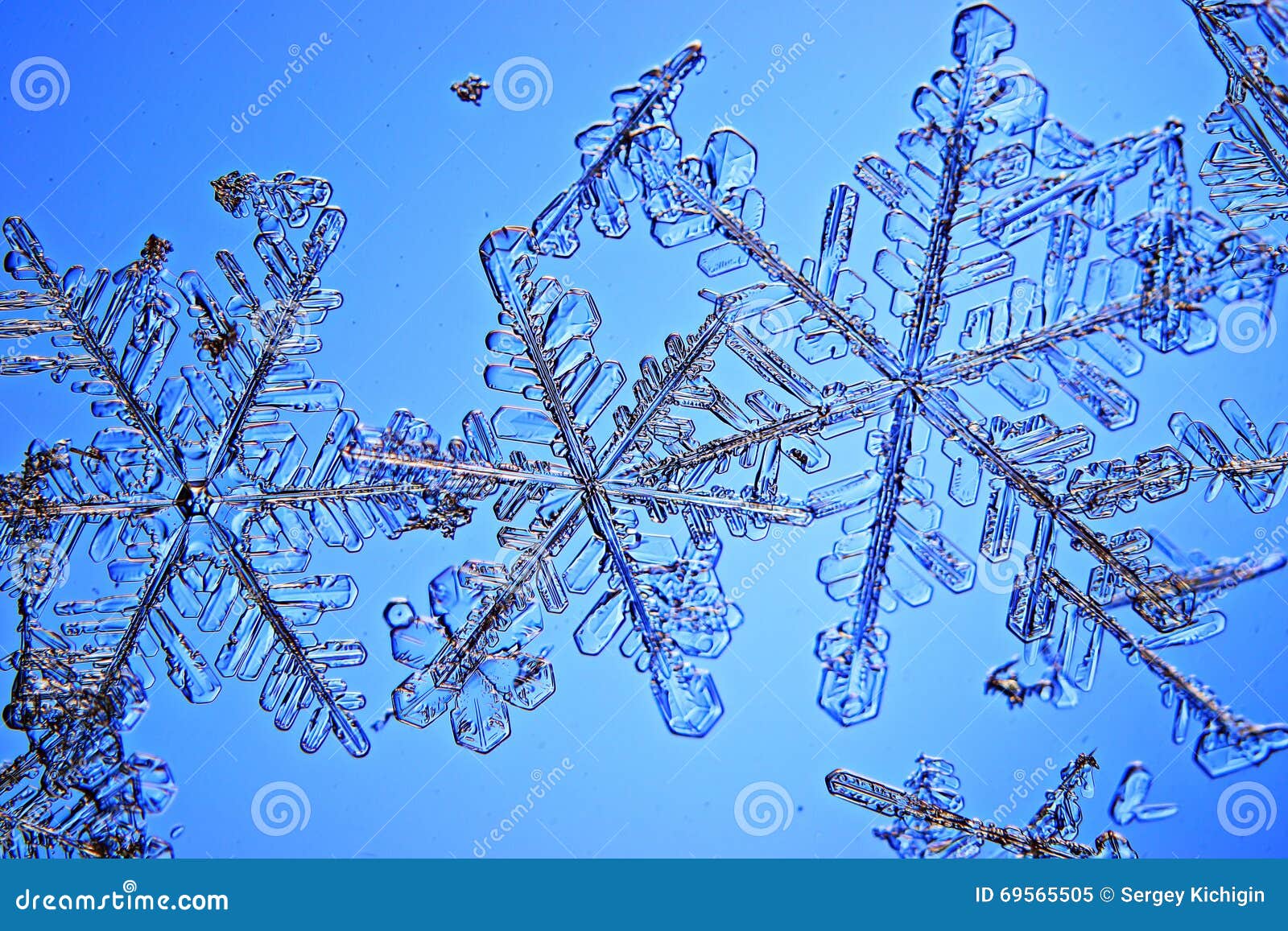 Natural snowflake stock image. Image of computer, design - 69565505