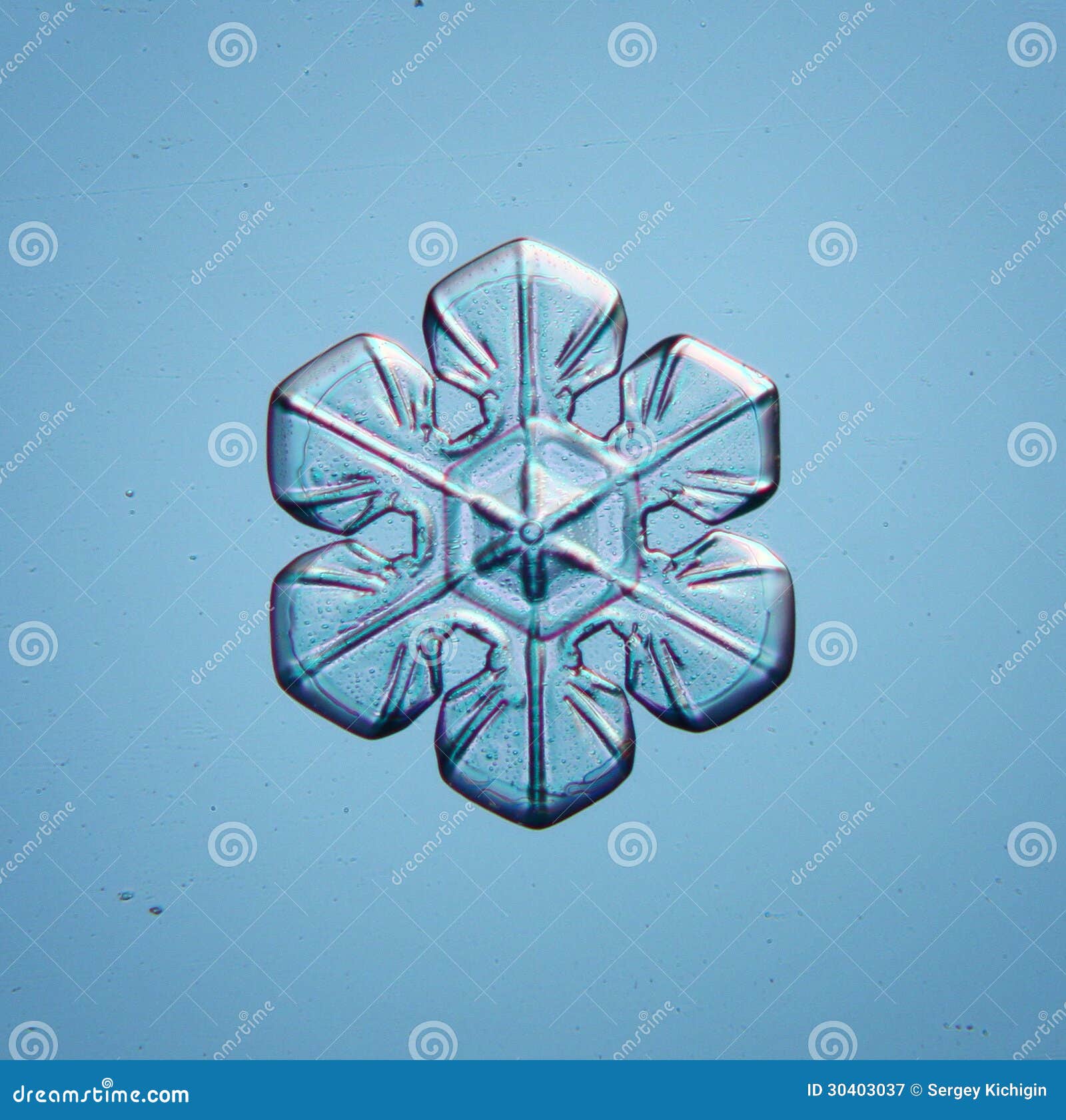 Natural Snowflake Macro Naturals Stock Image - Image of sparkle, icing ...