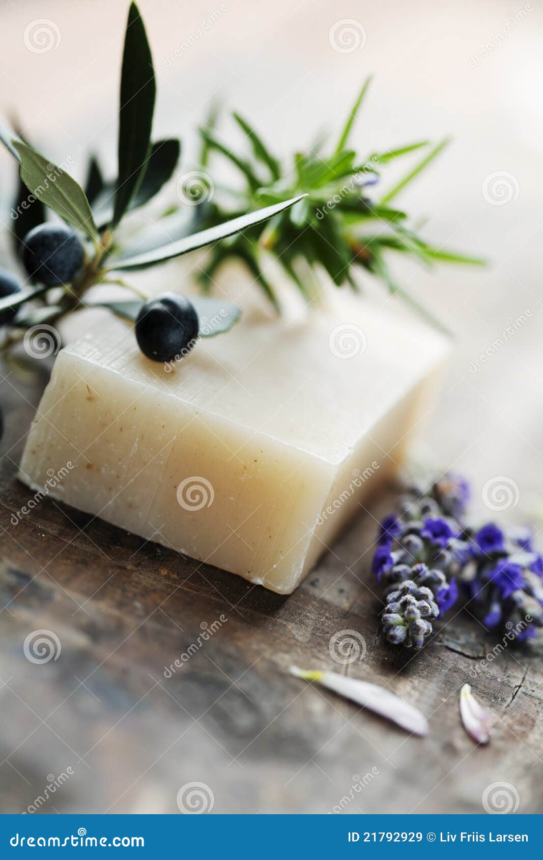 Natural soap stock image. Image of hygiene, toiletries - 21792929