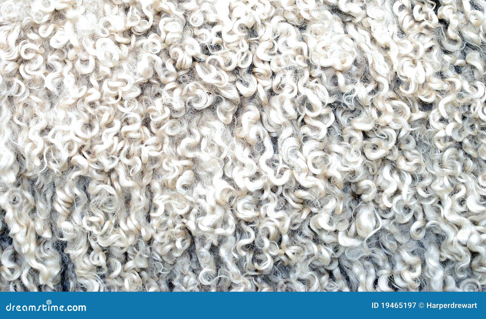 Natural Soft Wool Texture Background Stock Image - Image of mammal ...