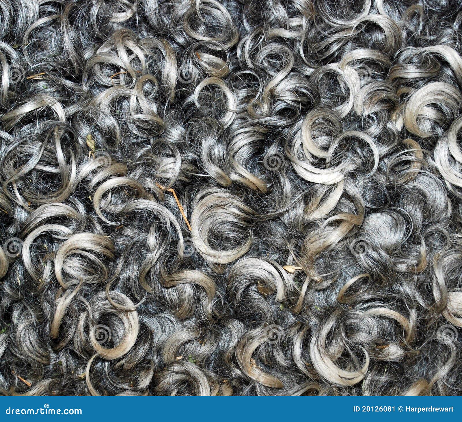 Wool Texture Royalty-Free Stock Photography | CartoonDealer.com #11976623