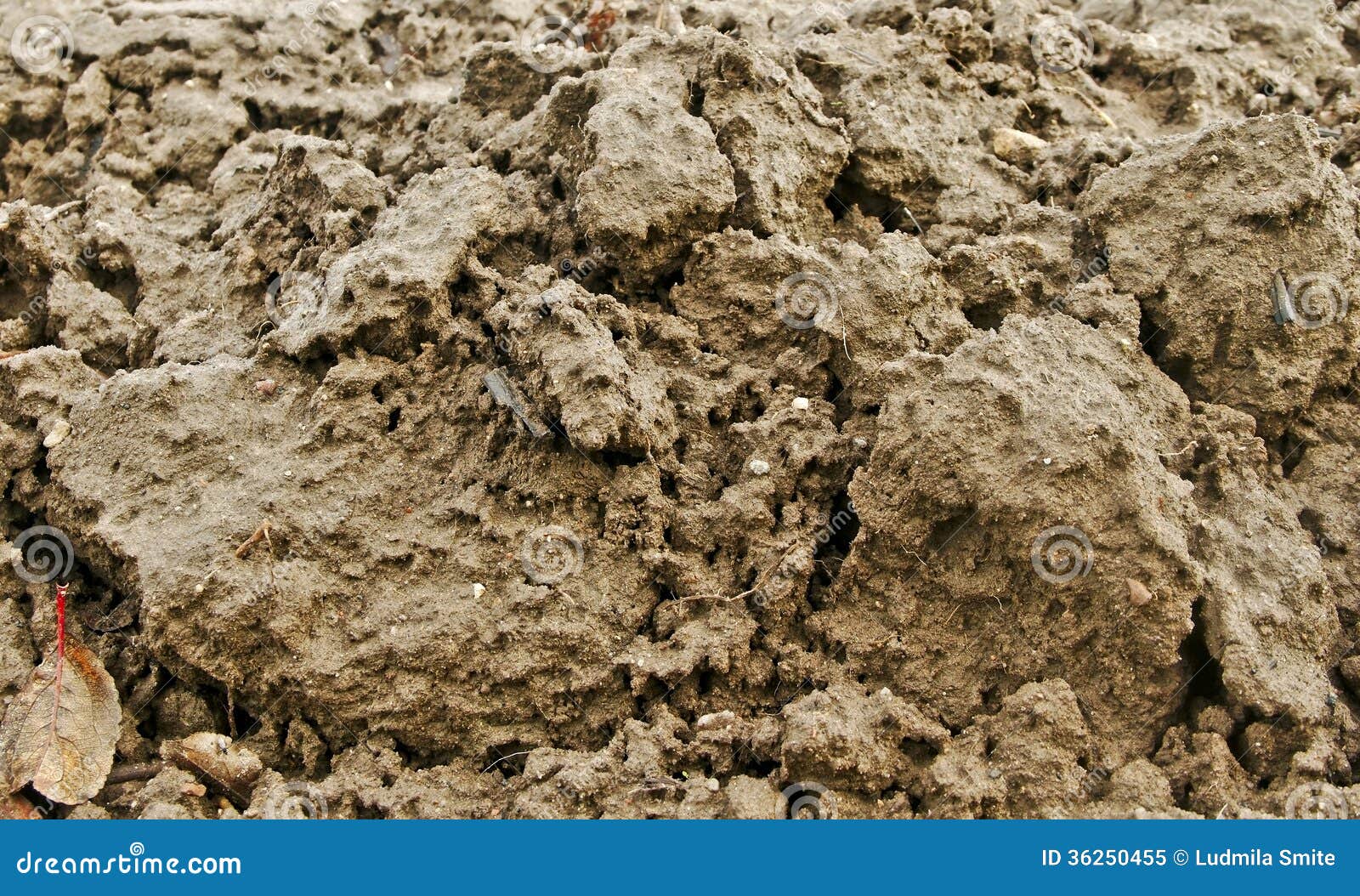 Natural soil. stock image. Image of country, environment - 36250455