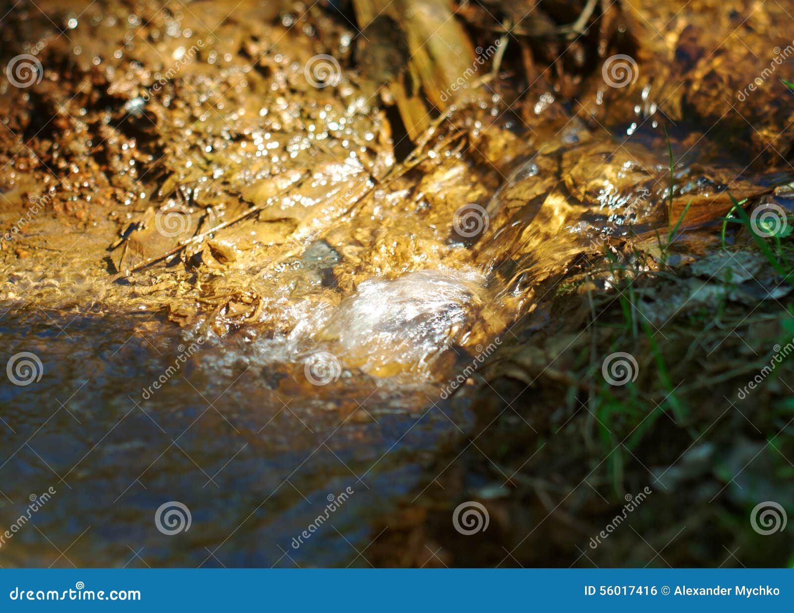 Natural Source of Mineral Curative Water. Stock Photo - Image of ...